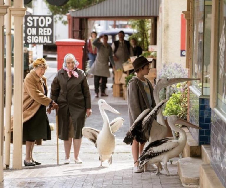 Storm Boy {Movie Review} Love Has Wings | Mixed Blessings Blog
