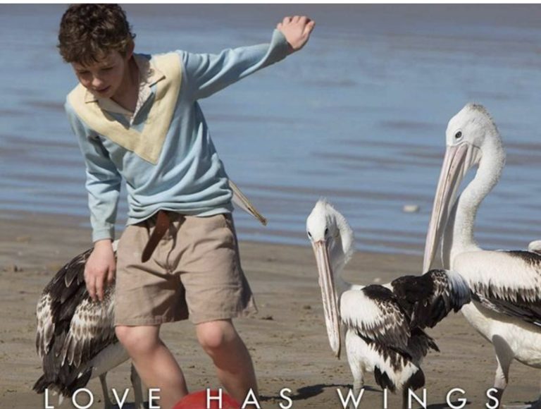 Storm Boy {Movie Review} Love Has Wings | Mixed Blessings Blog